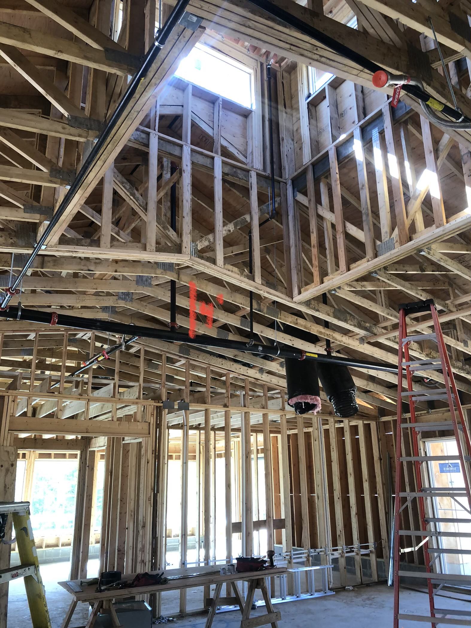 Portfolio - Level 10 Development